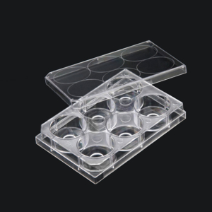 glass bottom petri dish,Confocal Dish, glass bottom dish, 35mm glass ...